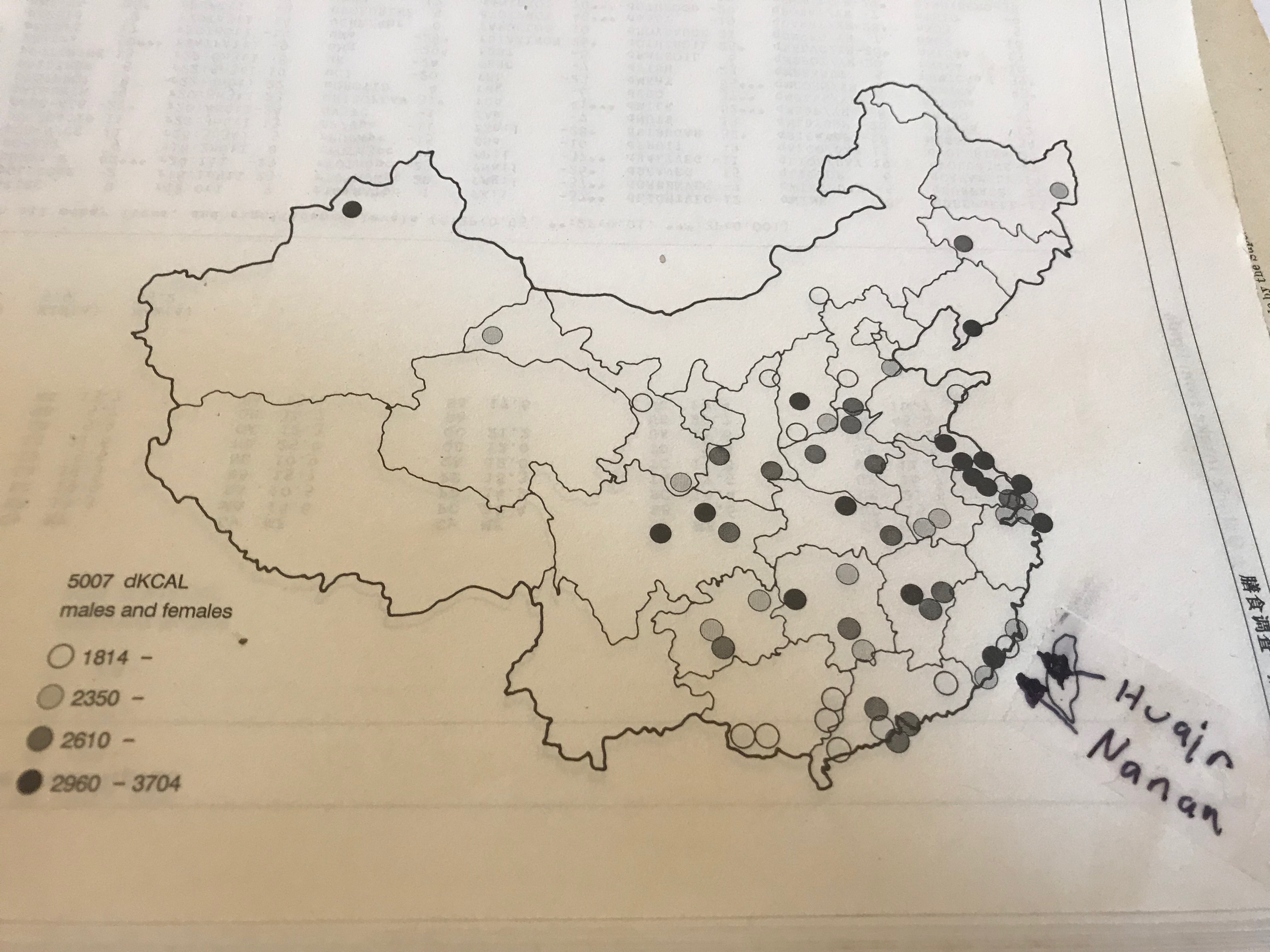 The Curious Case of Nanan and Huain - Fire In A Bottle