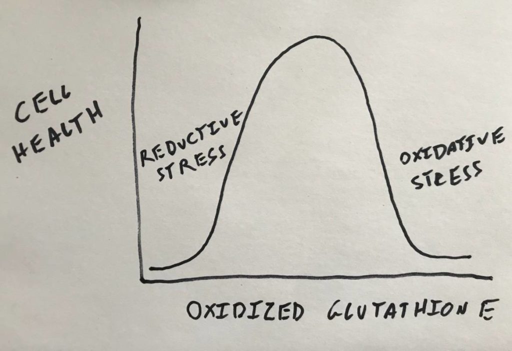 Oxidative Balance: A Simple Regulatory Loop - Fire In A Bottle