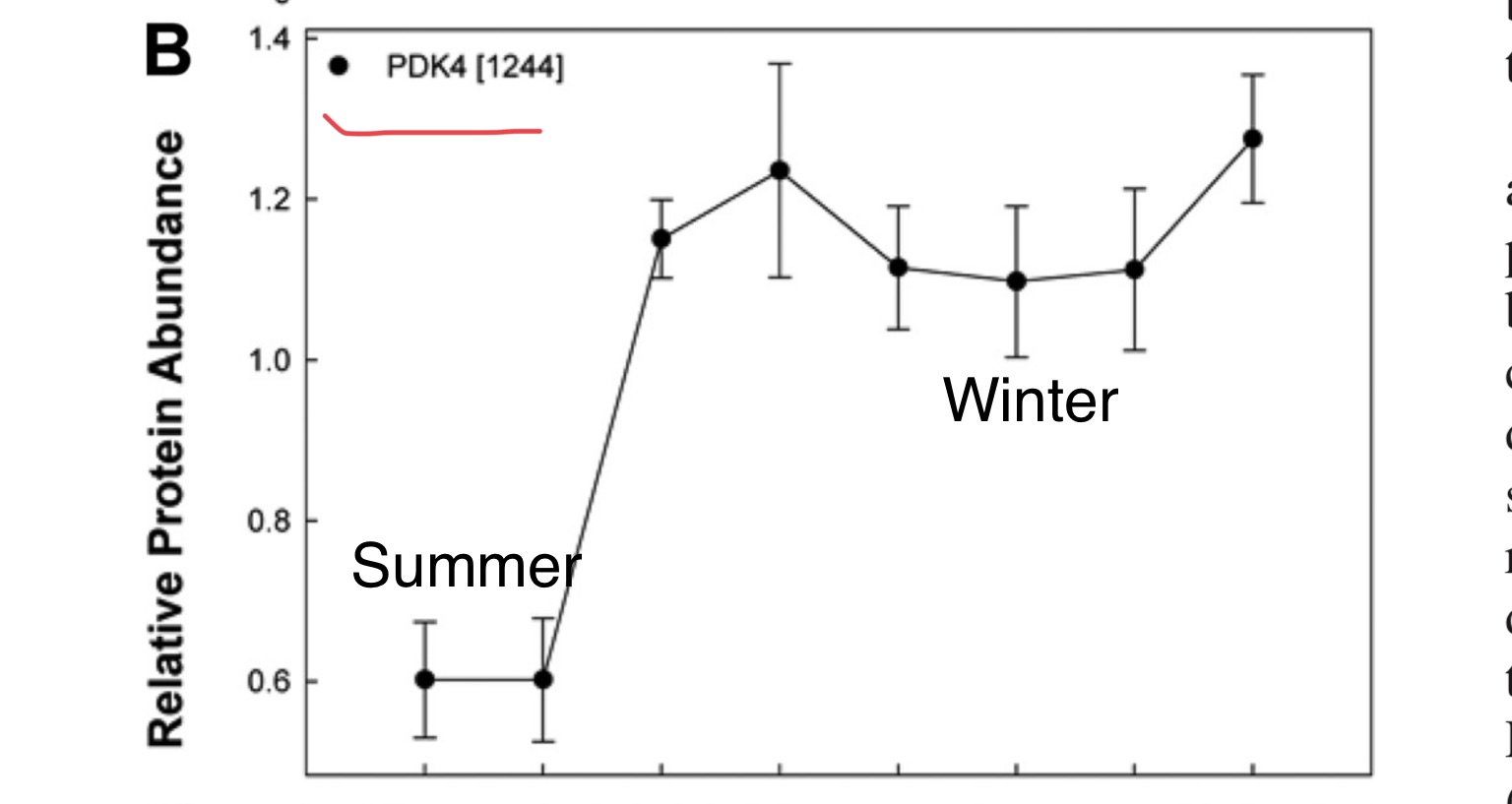 PPAR gamma With Oxidized PUFA is the Gatekeeper to Metabolic ...